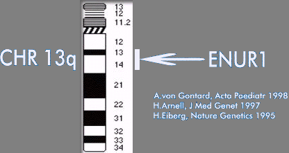 Somatic and auricular thermostimulation in adolescents with nocturnal ...