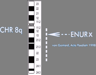 Somatic and auricular thermostimulation in adolescents with nocturnal ...